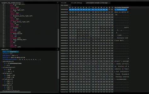 Shattering The Eyeglass Using Kaitai Structs To Dissect The Eyeglass