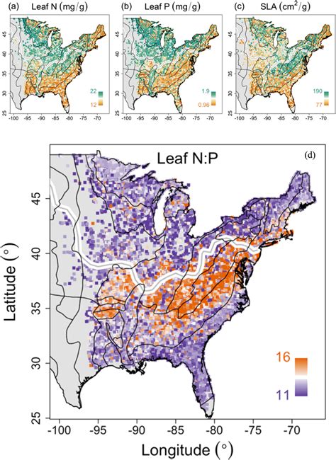 Community Weighted Mean Cwm Leaf Traits Across The Eastern United