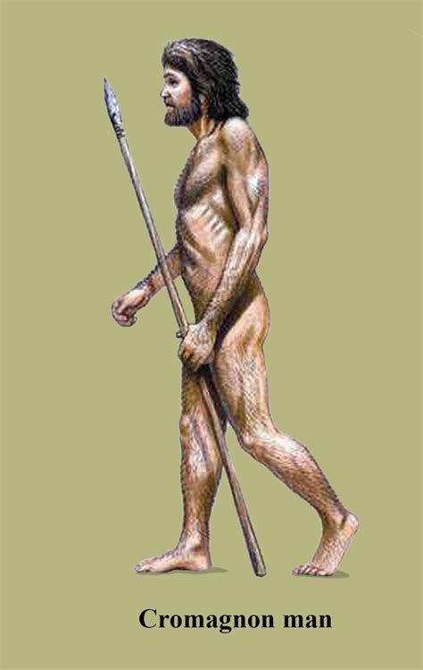 Which One Is Closest To Modern Mana Cro Magnon Manb Neanderthal