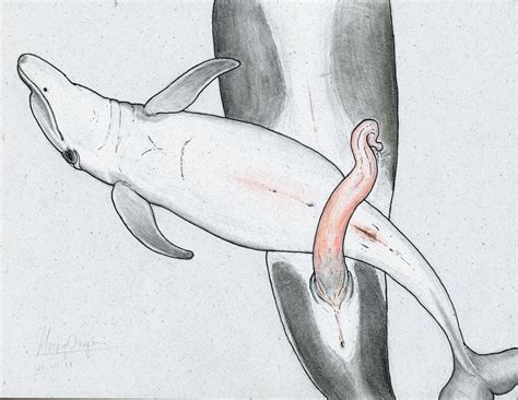 Rule 34 2019 Anatomically Correct Anatomically Correct Genitalia Anatomically Correct Penis