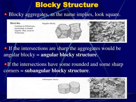 Ppt Soil Physical Properties Powerpoint Presentation Free Download