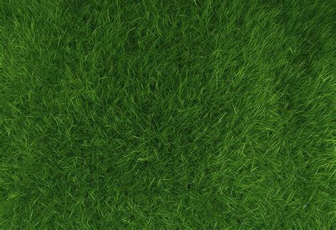 Premium Photo Emerald Green Grass Texture Background