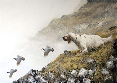 King Pointer Kennels Added A New Photo King Pointer Kennels