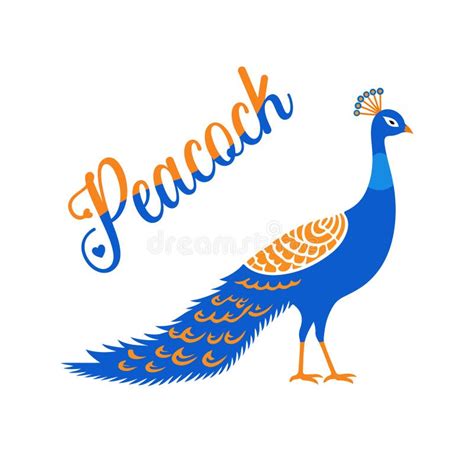 Peacock Graphics Peacock Feather Vector Art And Graphics