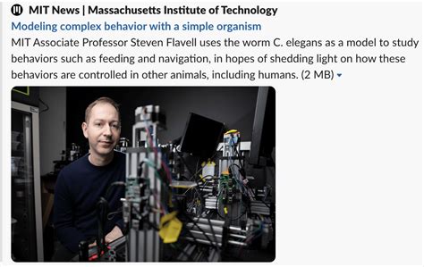 I Never Really Got Nightmares From Movies In Fact I Recall My Father