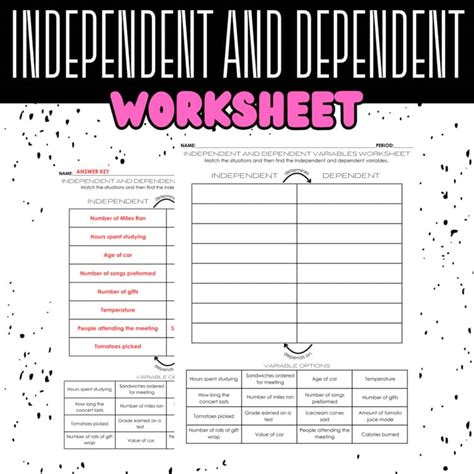 Independent And Dependent Variable Worksheet Activity By Dakotamath