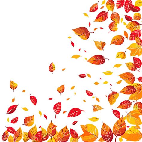 Premium Photo Assorted Leaves On White Background