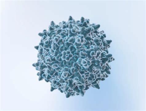 Fda Proposes New Faster Approval Process For Ultra Rare Disease Therapies Packgene Biotech