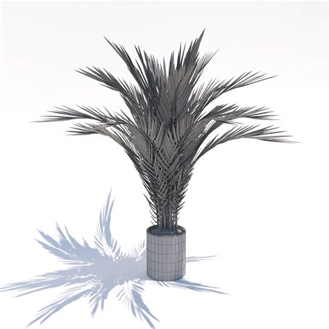 Small Palms Flippednormals