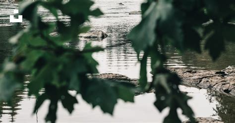 A Body Of Water Surrounded By Trees And Rocks Photo Free Canada Image