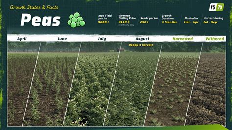 Peas Beans And Spinach In Farming Simulator 25 Gportal