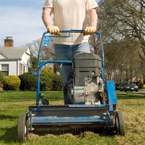 Lawn Dethatching Service Rochester Ny Evergreen Landscape Management