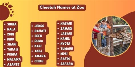 300 Cheetah Names Funny Cute And Popular Ideas