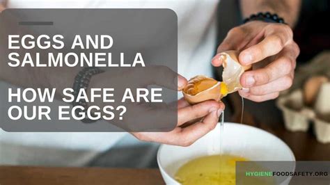 Does Cooking Eggs Kill Salmonella Bacteria At Dale Mack Blog