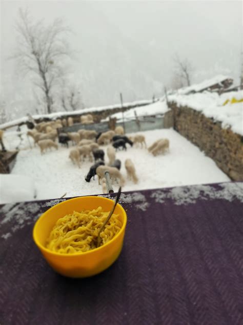 Kasol Tosh And Manali Indias Answer To The Swiss Visualeyes