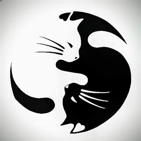 Cats Infinity Cats Cats Infinity Cats Tumblr Blog Tumlook