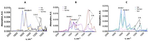 L Asparaginase Conjugates From The Hyperthermophilic Archaea