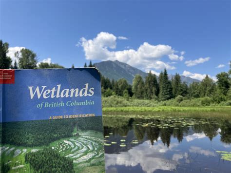 Wetland Classification An Introduction Columbia Mountains Institute