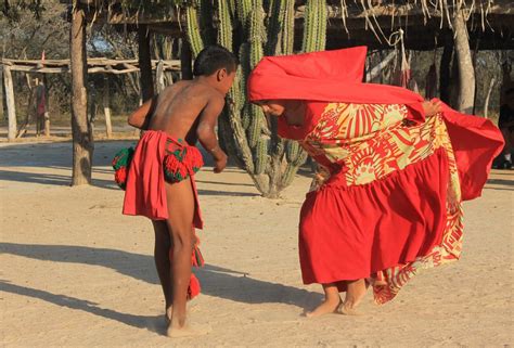 Yonna O “chichamaya” Un Baile Guajiro • Periódico El Campesino La
