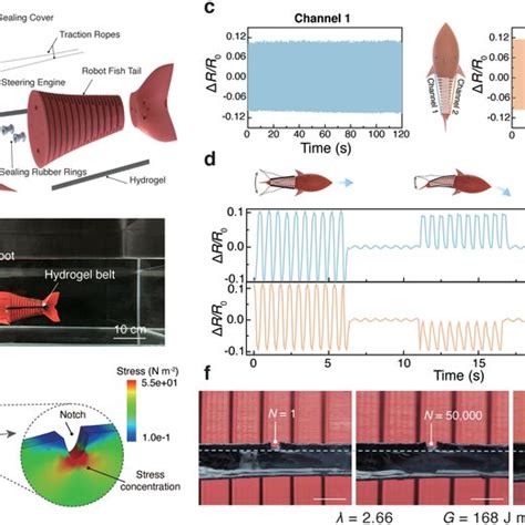 Functional Demonstration Of Conducting Polymer Hydrogel As The