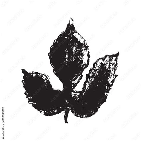 Passion Fruit Leaf Vector Drawing In Hand Drawn Style With Rough Charcoal And Graphite Texture
