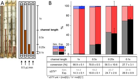 Flow Reactor Experiments With Variable Bed Lengths A Image Of Flow
