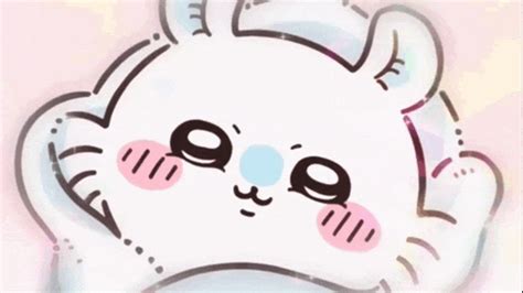 Chiikawa Momonga  Chiikawa Momonga ちいかわ Descubrir Y Compartir S
