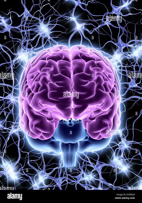 Firing Neurons In The Brain