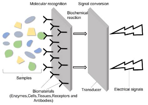 The Working Principle Of Voltammetric Chemical Vc Sensors Download
