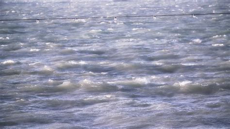 Hannah Shellswell On Linkedin Throwback Videoproduction