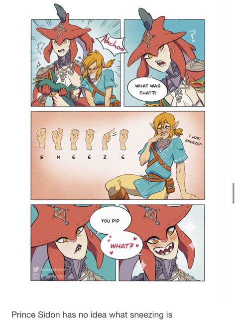 Esta Pareja Es Tan Tierna Sidon Y Link Breath Of The Wild Dibujos