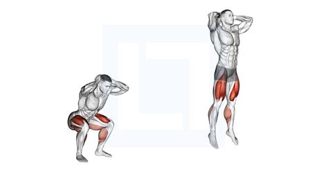 Jumping Squats Exercise Squat Jump In Training