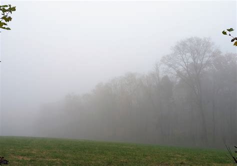 A Dense Fog Over The Farm The Martha Stewart Blog