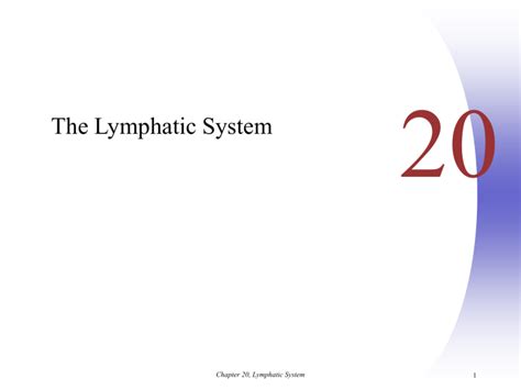 Chapter 20 Lymphatic System