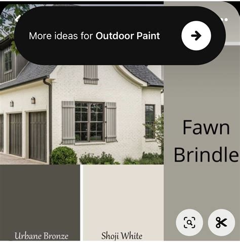 Our Review Of Fawn Brindle By Sherwin Williams Artofit