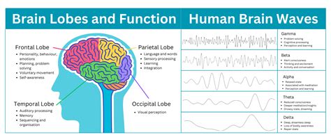 Human Brain Wave Frequency What Is Infra Low Frequency Neurofeedback