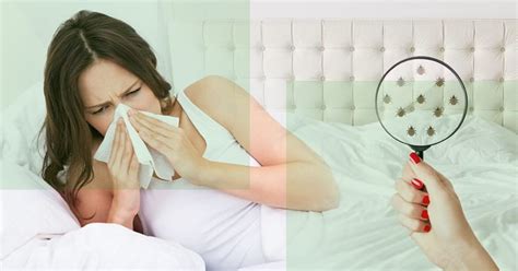 How To Get Rid Of Dust Allergy Allergy And Asthma Clinic