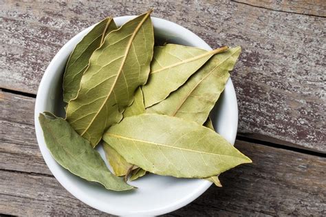 Why We Cook With Bay Leaves
