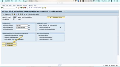 payment medium workbench in sap fico