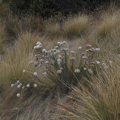 Cat Morrison S O • Instagram Photos And Videos Photography