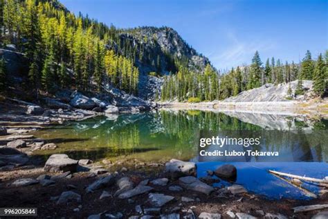 Labov Photos And Premium High Res Pictures Getty Images