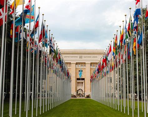 The Community Impacts Of Legal Definitions Of Terrorism Global