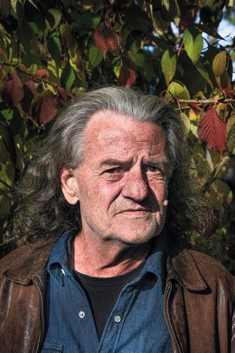 Tschou Fredi Surprise