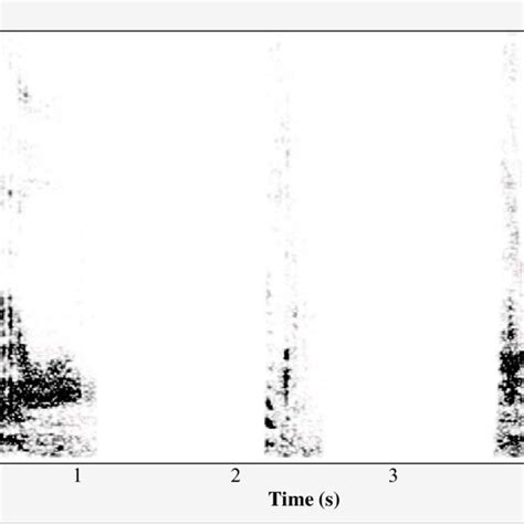 Example Spectrogram Of Three Harsh Broadband Staccato Calls Used In