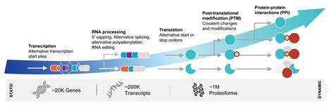 Boosting Ms To Enable Deeper Exploration Of The Proteome