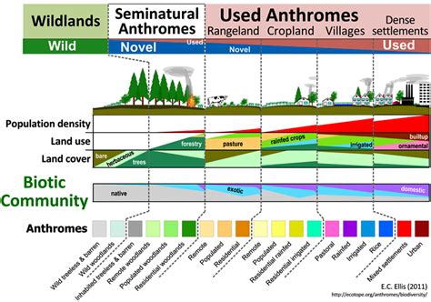 Anthrome Biodiversity World Geography Biodiversity Biomes