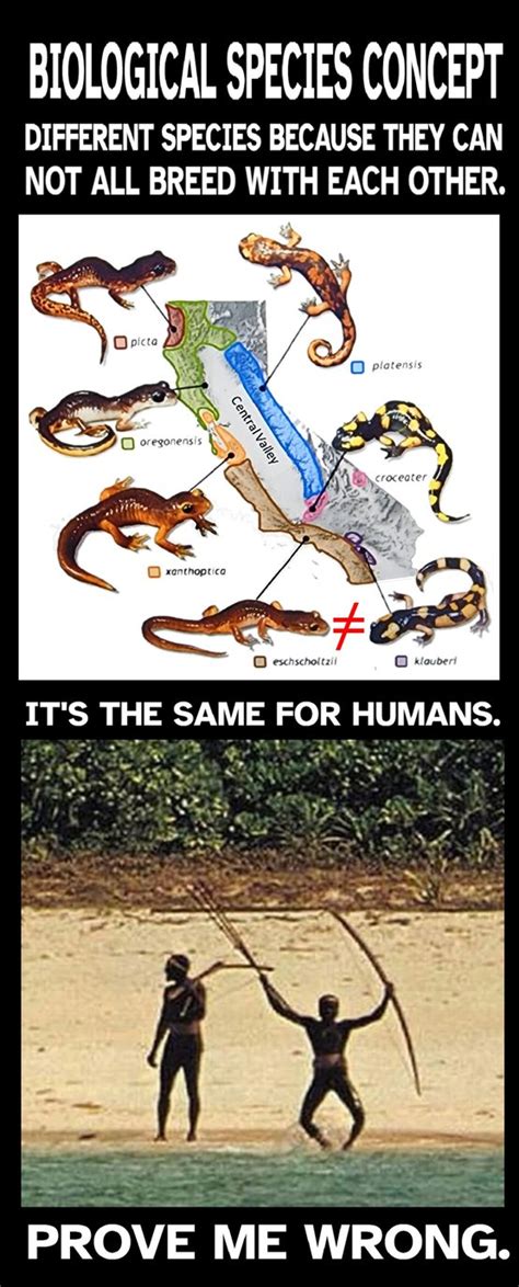 The Latest Memes Memedroid