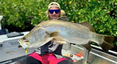 Crabba Danielcolombini With A Cracker 81cm