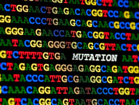 Difference Between Somatic And Germline Mutations Difference Between