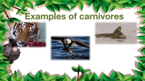 Classification Of Animals Based On Mobility And Feeding Habits Pptx